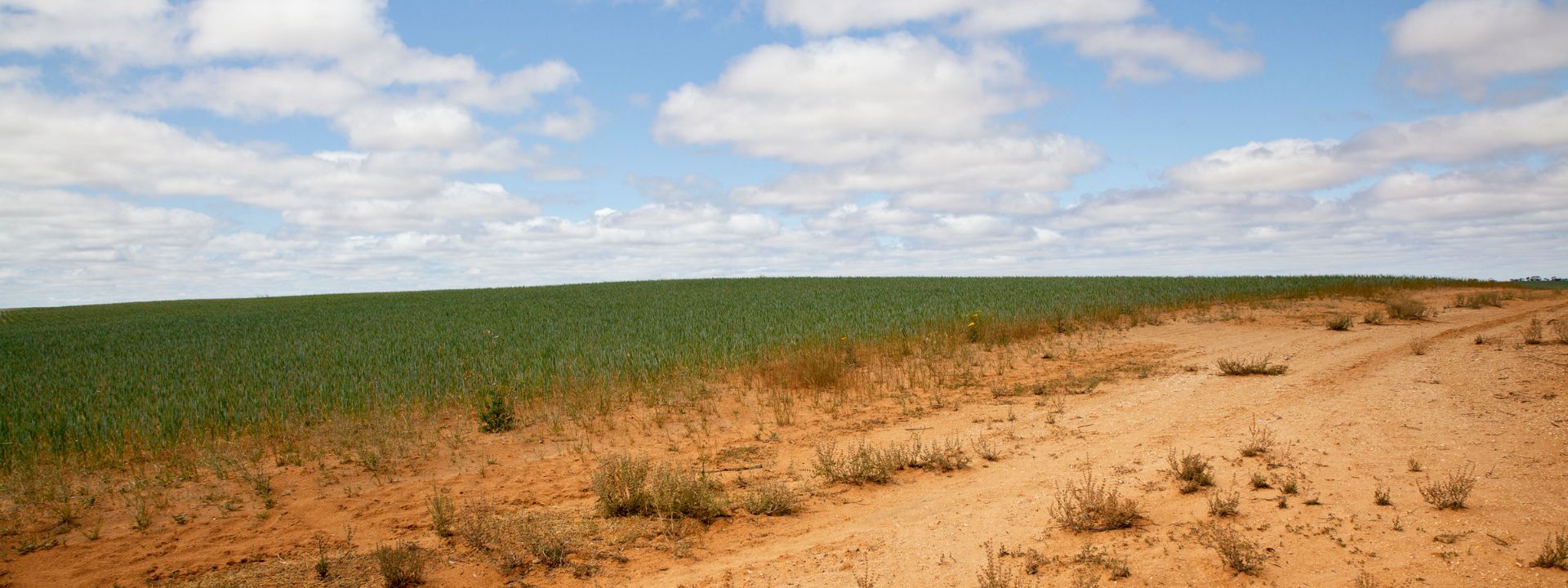 Rural Tailgates: 5 Hot Tips For Importing to Remote Australia ...