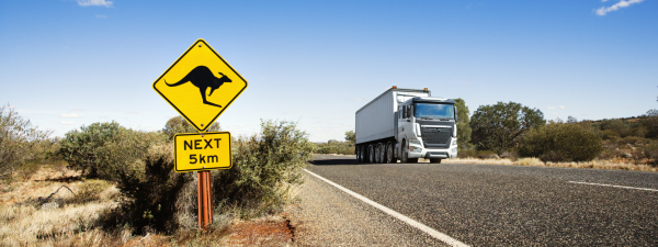 Cargo Delivery: Top 9 Issues We See In Cartage (No #5 May Surprise You ...